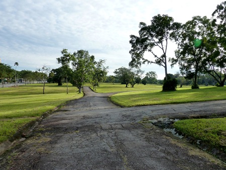 Urban Forest: Bidadari Cemetery